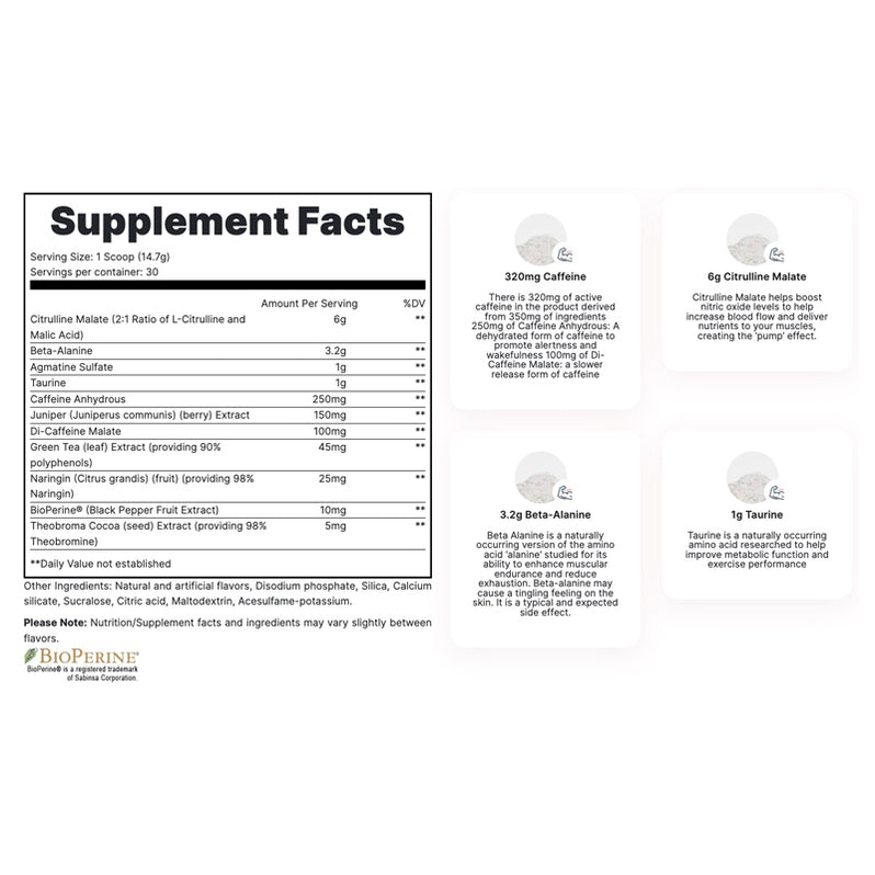 Total War — Unchained Supplements